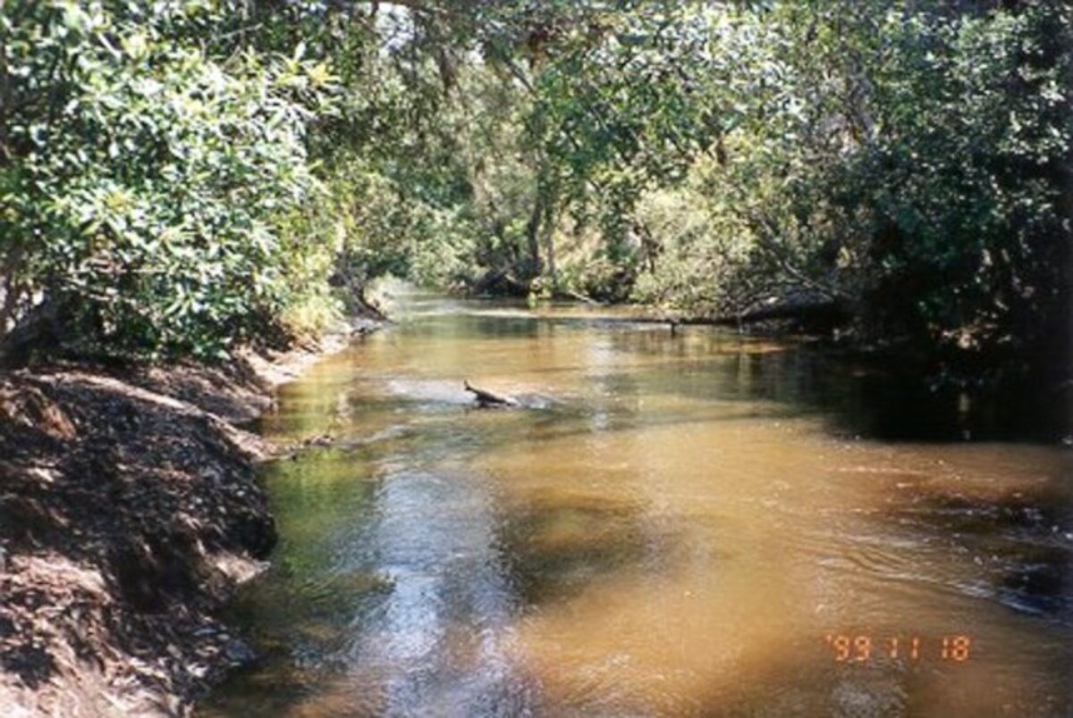 WMIP: Queensland Government
